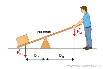 Les leviers en physique : définition, principe de fonctionnement et ...